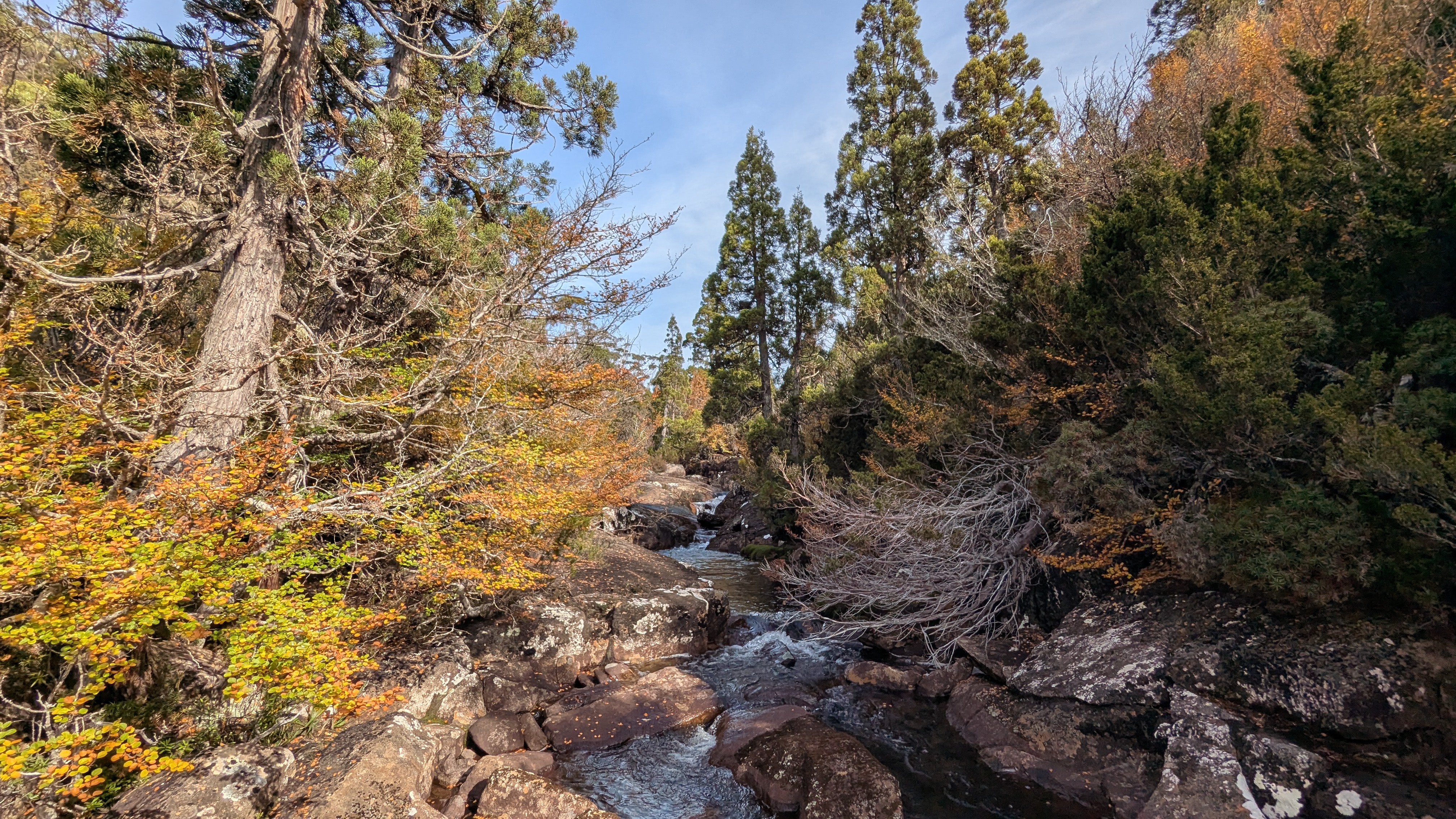 Cathedral Mountain | tbd